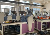 China Clamshell Blister Forming Machine Take Away Lunch Food Box Making Machine for sale