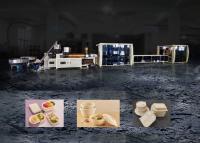 China Disposable Fast Food Container Machine Equipment 60 Mode Min for sale