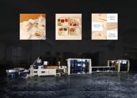China Disposable Plastic Food Container Making Machine Full Automatic 60 Mode Min for sale