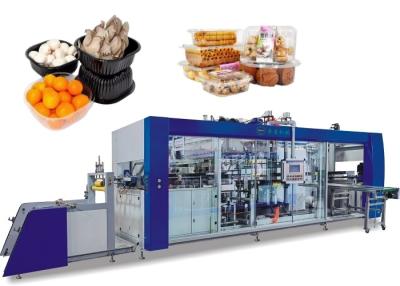 China Four Station Blister Thermoforming Machinery Automatic for sale