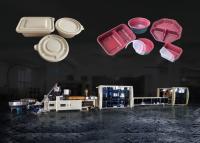 China Triple Screw Biodegradable Tableware Machine Plate Cutlery Making 60KW for sale