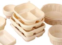 China Thin Wall Compostable Disposable Food Container Making Machine Manufacturers for sale