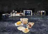 China Full Automatic Burger Box Machine Equipment Production Line for sale