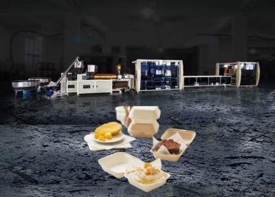 China Full Automatic Burger Box Machine Equipment Production Line for sale