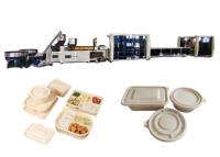 China Fast Food Take Away Box Making Machine Disposable Plastic Food Container Machine for sale