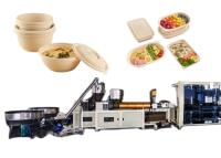 China High Speed Take Away Box Making Machine Fully Auto Eco Friendly for sale