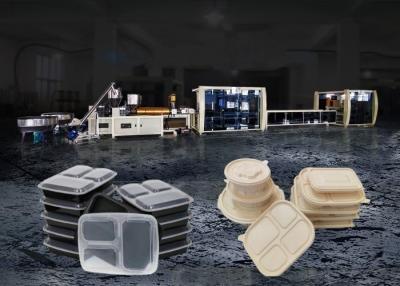 China Takeaway Fast Food Box Machine Forming Containers for sale