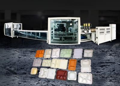 China Novel Biodegradable Fast Food Box Machine For PBAT PLA Material for sale
