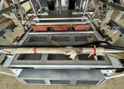 China Pet Ps Food Container Making Machines PLA Biodegradable for sale