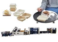 China Blister Machinery Burger Box Line Disposable Biodegradable Food Container Machine for sale