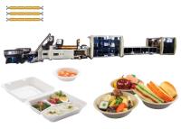 China Three Screw Blister Equipment Disposable Plastic Container Making Machine for sale