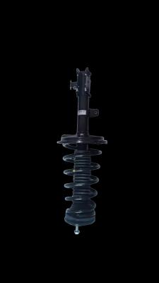 China TB062 924387 Suspension Shock Absorber for BYD E5 Back Right for sale
