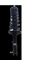 China TB048 920036 Suspension Shock Absorber for Geely Free Cruiser Back Left for sale