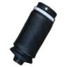 China air shock absorber Air Spring Rear Left and Right for ML-Class W166 & GL-Class X166 for sale