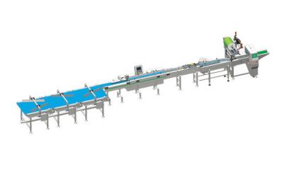 China Automatic Material Sorting and Packaging Line for sale