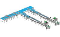 China One-to-two Dual Channel Automatic Material Sorting and Packaging Line for sale