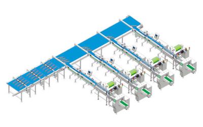 China One-to-four 130 Degree Automatic Material Sorting and Packaging Line for sale