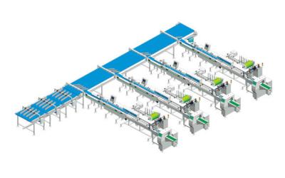 China One-to-four 90 Degree Automatic Tray Loading and Sorting Packaging Line for sale