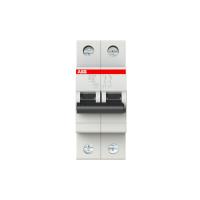 China 2P MCB SH202-B25 Miniature Circuit Breaker Number of Pole 2 Rated Current 25A for sale