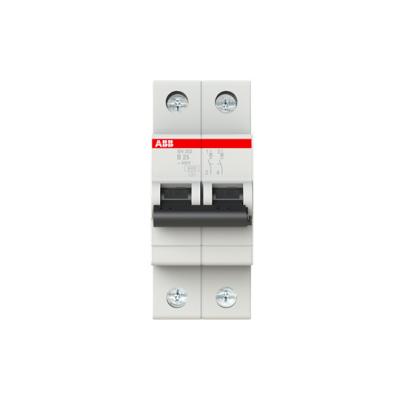 China 2P MCB SH202-B25 Miniature Circuit Breaker Number of Pole 2 Rated Current 25A for sale