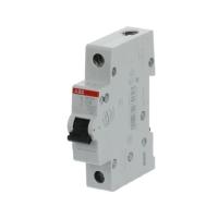 China MCB SH201-C10 Miniature Circuit Breaker 1P C 10 A Rated Voltage 220 Breaking Capacity 1P for sale