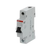 China SH201-C16 Miniature Circuit Breaker 1P C 16 A Rated Voltage 220 Compact and Versatile for sale