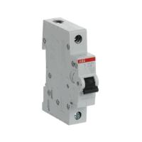 China SH201-C16 Miniature Circuit Breaker 1P C 16 A Rated Voltage 220 Compact and Versatile for sale