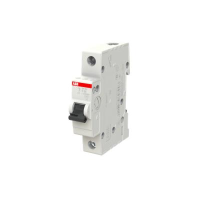 China 1P C 50A Miniature Circuit Breaker Rated Frequency Hz 50 Durable and Long-Lasting for sale