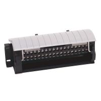 China 1756-TBCH ControlLogix 36 Pin Screw Terminal Block with Other Communication Interface for sale