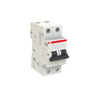 China 50A Rated Current MCB SH202-C50 Miniature Circuit Breaker 2P Rated Frequency Hz 50 for sale