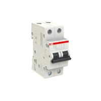 China 50A Rated Current MCB SH202-C50 Miniature Circuit Breaker 2P Rated Frequency Hz 50 for sale