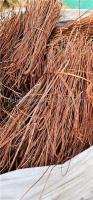 China 0.20mm Copper Millberry Scrap Strip Low Price High Quality for sale