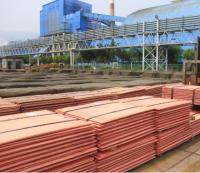 China Factory Direct Supply 99.99% Pure Electrolytic Copper Cathodes for sale