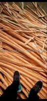 China 99% High Pure Copper Scrap/Copper Wire/Copper Wire Scrap for sale