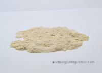 China Organic Vital Wheat Gluten Wheat Flour's Ingredient Non GMO Wheat Protein Powder for sale