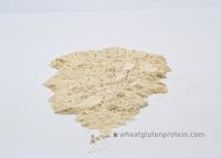 China Natural Wheat Smell Vital Wheat Gluten For Baking Food Nutrition for sale