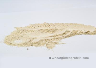 China Slightly Yellowish Vital Wheat Gluten Protein For Eel / Shrimp / Salmon for sale