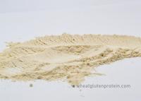 China Food Industry Protein From Wheat Flour , No Smell Dried Wheat Gluten for sale