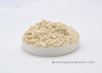 China Strong Hygroscopicity Dried Wheat Gluten Feed Additive 2 Years Shelf Life for sale