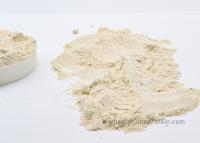 China Feed Ingredient Dried Wheat Gluten Powder Easy To Storage ISO / HACCP Listed for sale