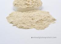 China High Purity Vital Wheat Gluten 75.00% Protein No Smell Easy To Storage for sale