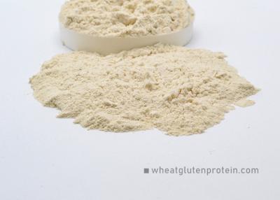 China High Purity Vital Wheat Gluten 75.00% Protein No Smell Easy To Storage for sale