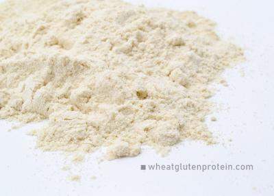 China Healthy Purity Vital Wheat Gluten Powder ISO HACCP KOSHER Approval for sale