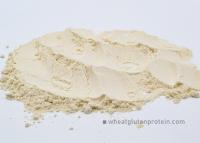 China 8002-80-0 Vital Gluten Powder In High Speed Bakeries To Improve Dough Strength for sale