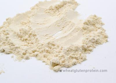 China Dried Wheat Gluten Powder In Lightly Yellow Color 85% Protein content for sale