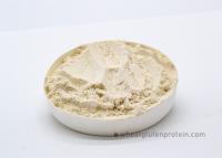 China 8002 80 0 Vital Wheat Gluten Protein For Feed Nutrition / Aquaculture for sale