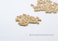 China Slightly Yellowish Pellet Protein Wheat gluten Feed Ingredient No GMO for sale