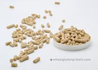 China Ton Bag Packaging Wheat Gluten Feed pellets for Protein Ingredient in Feed for sale