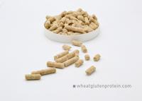 China Vital Wheat Gluten Pellets For Marine Farm Fish Feedstuff Ingredient for sale