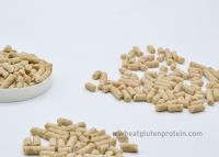 China Light Yellow Color Wheat Gluten Feed Pellets For Feed Eel / Shrimp Fast Growing for sale